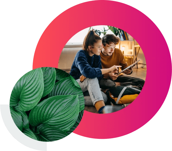 B2X Case Study Carbon Impact Management